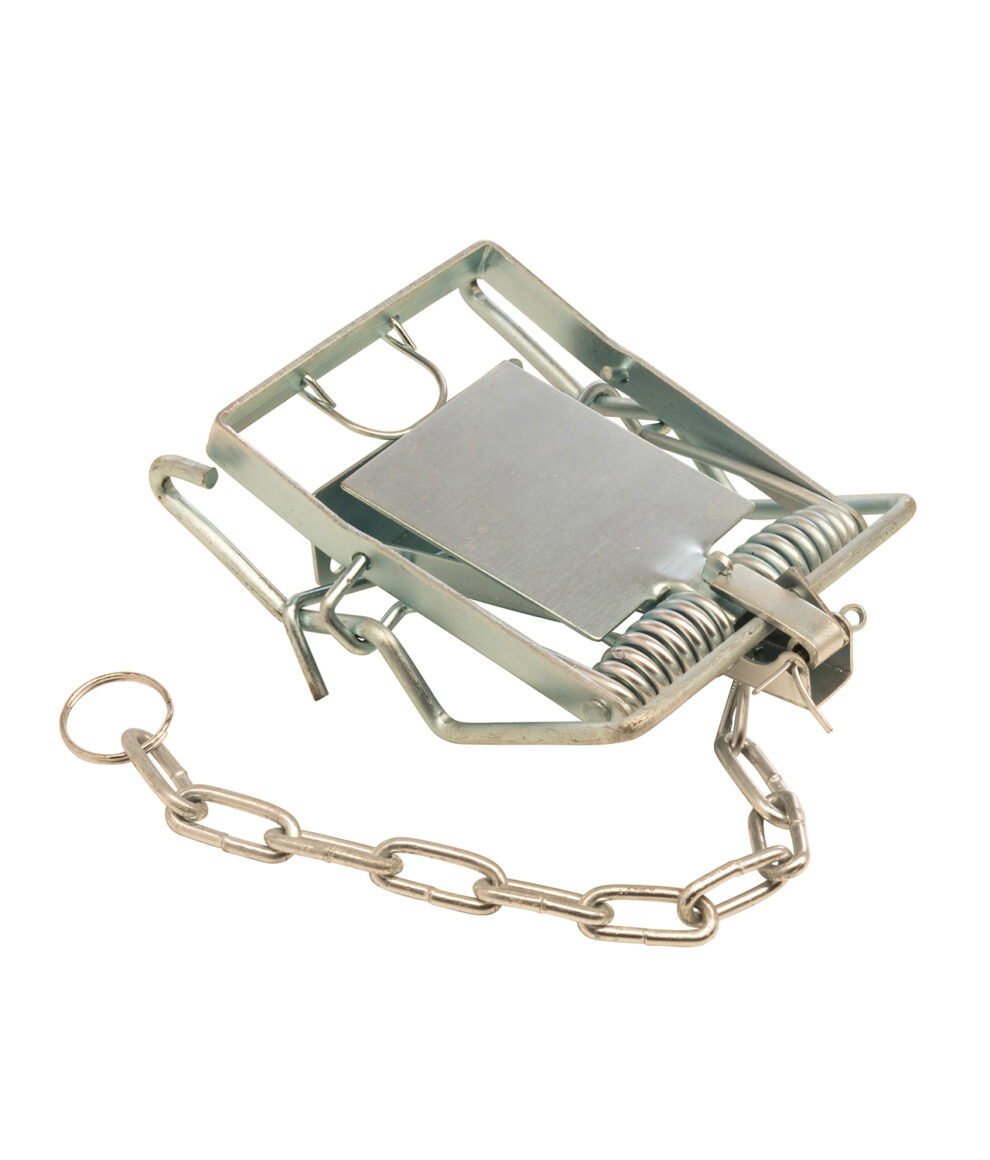 MK4 Traditional Heavy Duty Rat Trap | Muttons