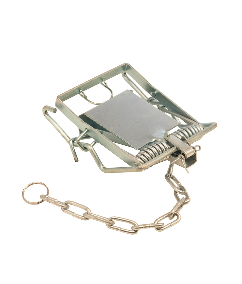 MK4 Traditional Heavy Duty Rat Trap | Muttons