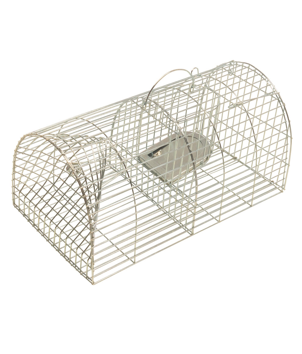 Multi-Catch Rat Trap | Muttons