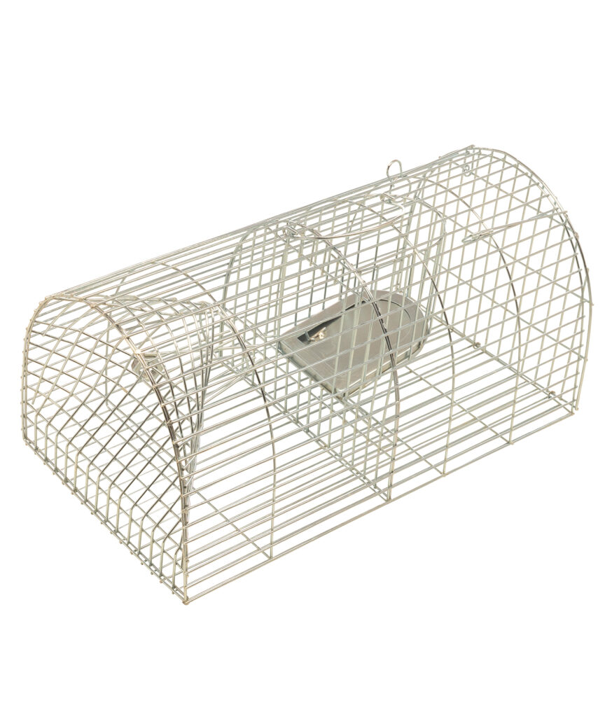 Multi-Catch Rat Trap | Muttons