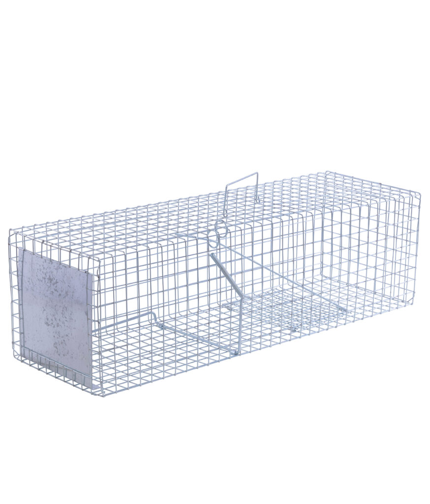 Rabbit Cage Trap for Pest Control | Muttons