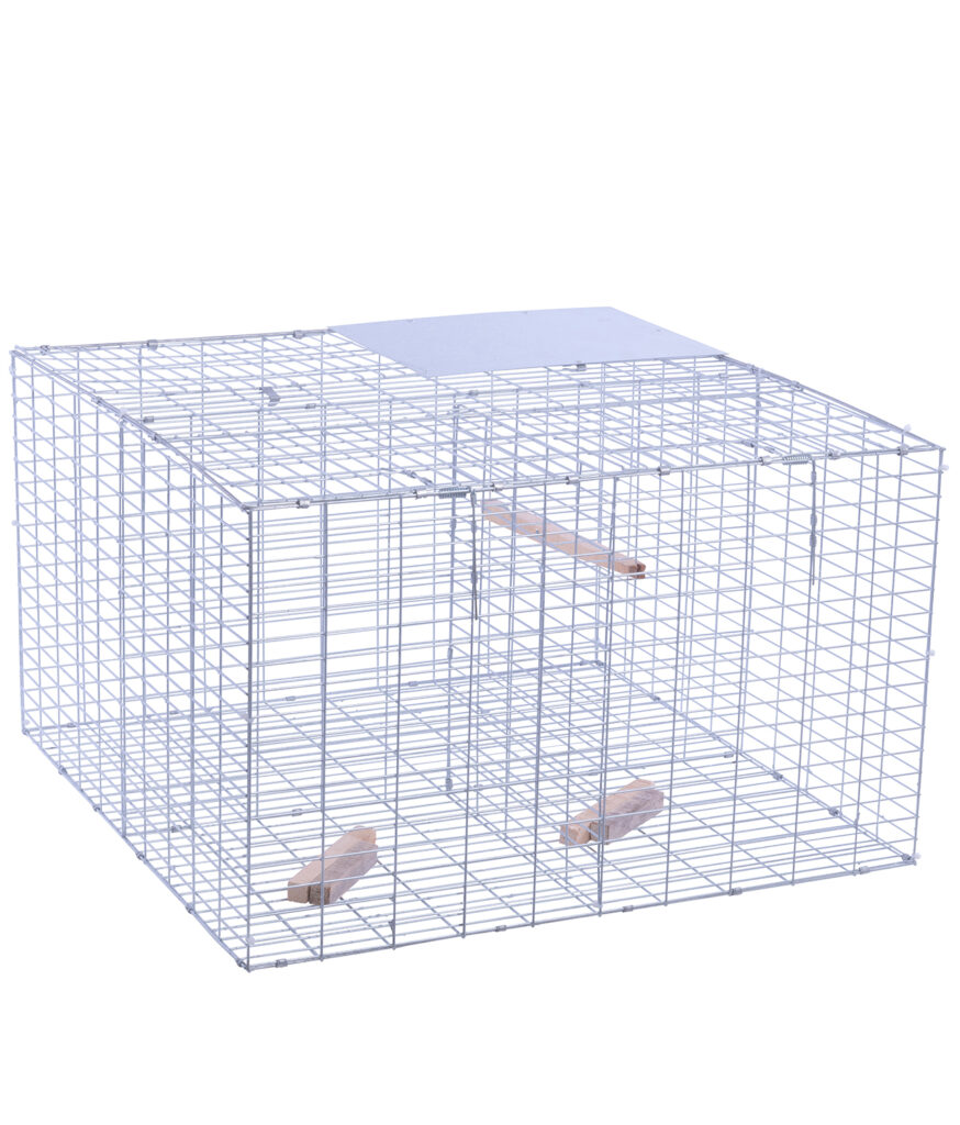 Square Larsen Trap (Double Catch Top Entry) | Muttons