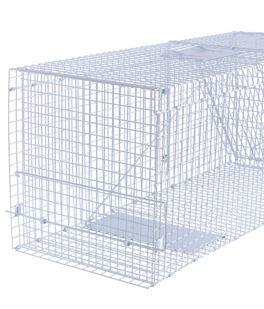 42" Folding Fox Trap | Muttons